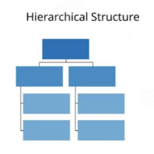Organizational Structure Overview - REDF Workshop