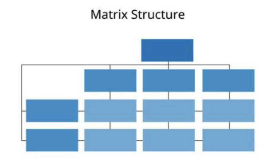 Organizational Structure Overview - REDF Workshop